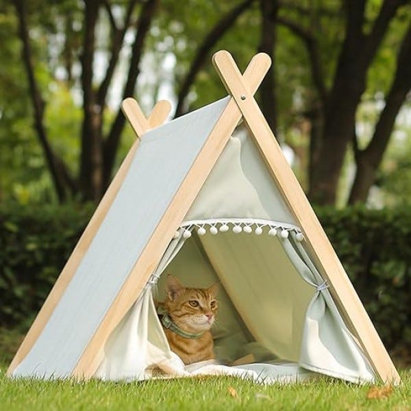 Pet Teepee Tent for Dogs | by Goldencat | May, 2024 | Medium