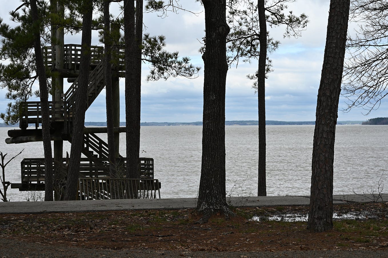 Top Lake Conroe Activities for an Unforgettable Experience | by Wonders ...