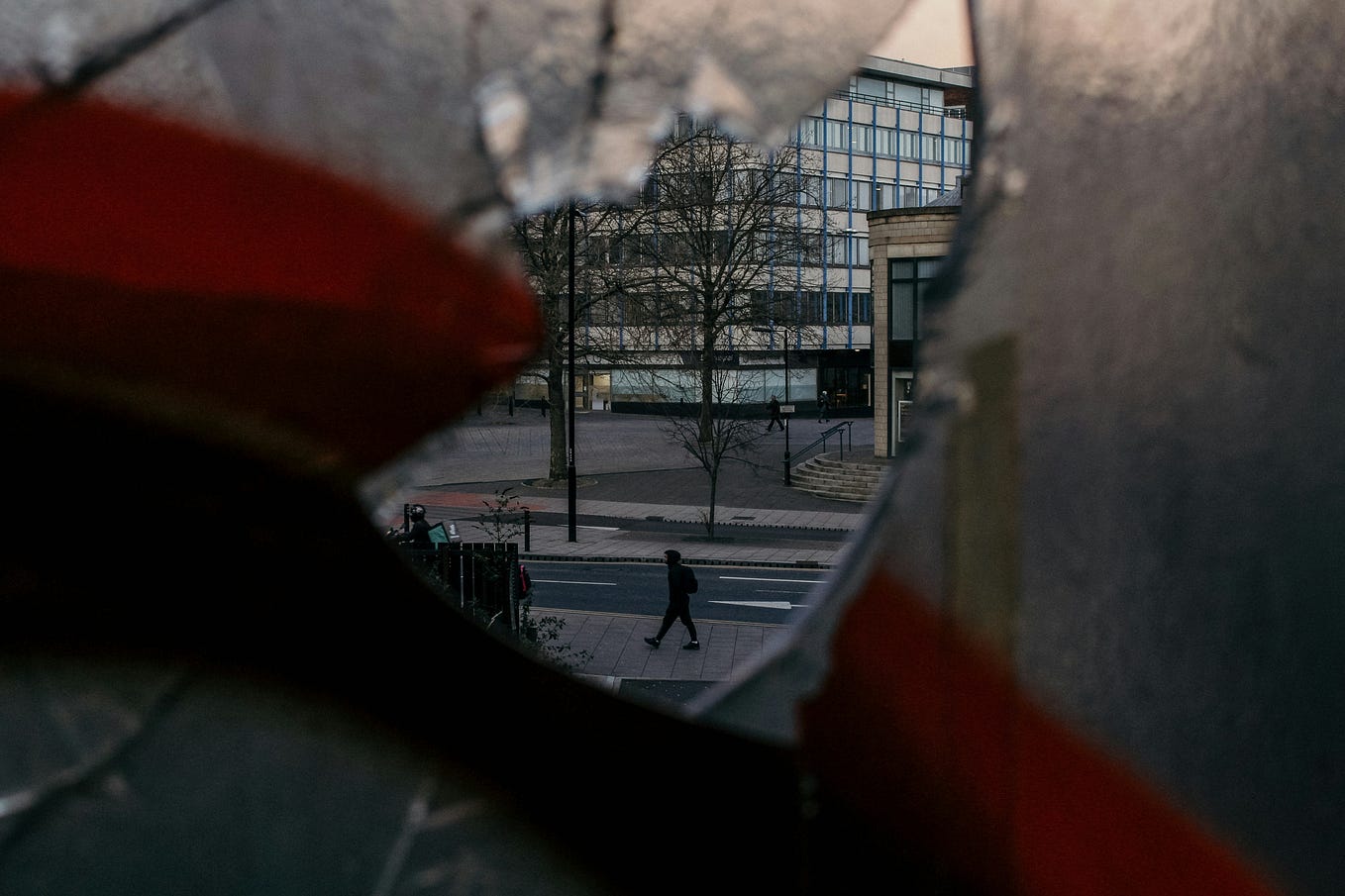 Contest Entry: The Twentieth Summer of My Human Existence. | by Susana ...