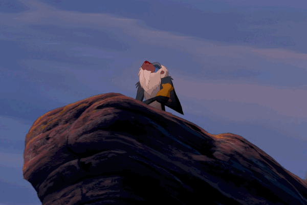 Rafiki Holding Simba Gif