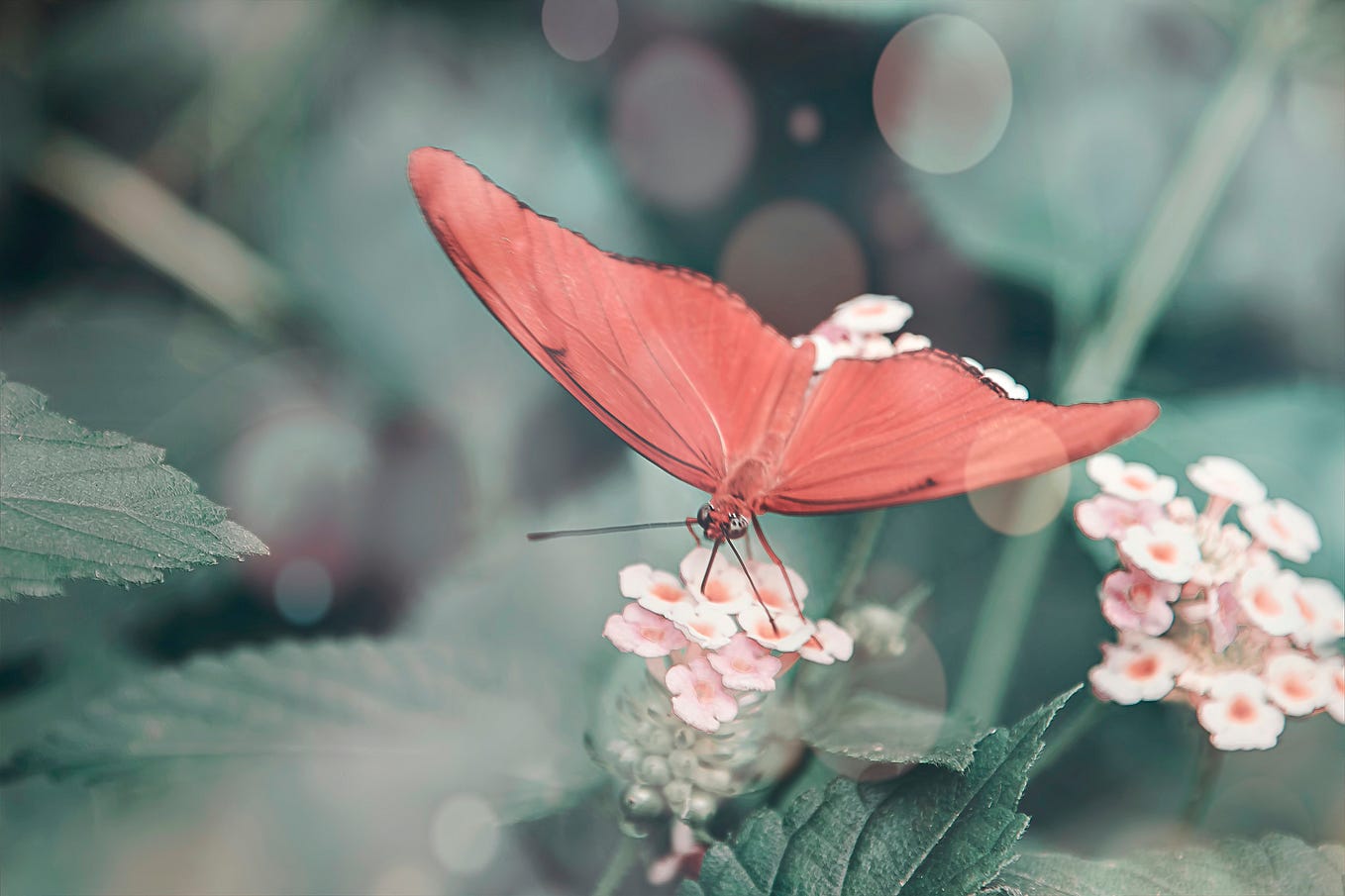 Why you need to ‘come out’ as a Highly Sensitive Person | by Nicole ...