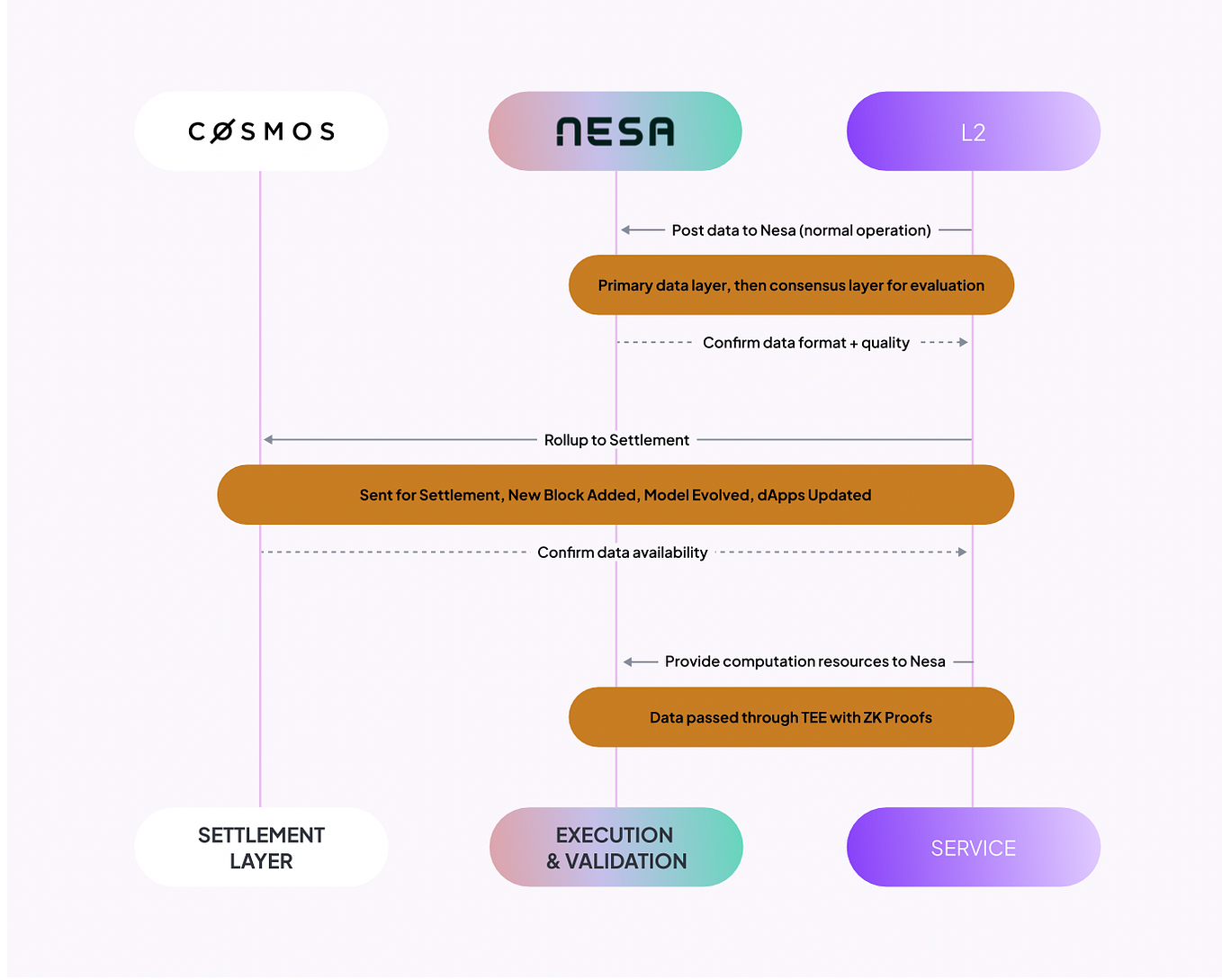 The First Application on Nesa: DNA X | by erfan | Dec, 2024 | Medium