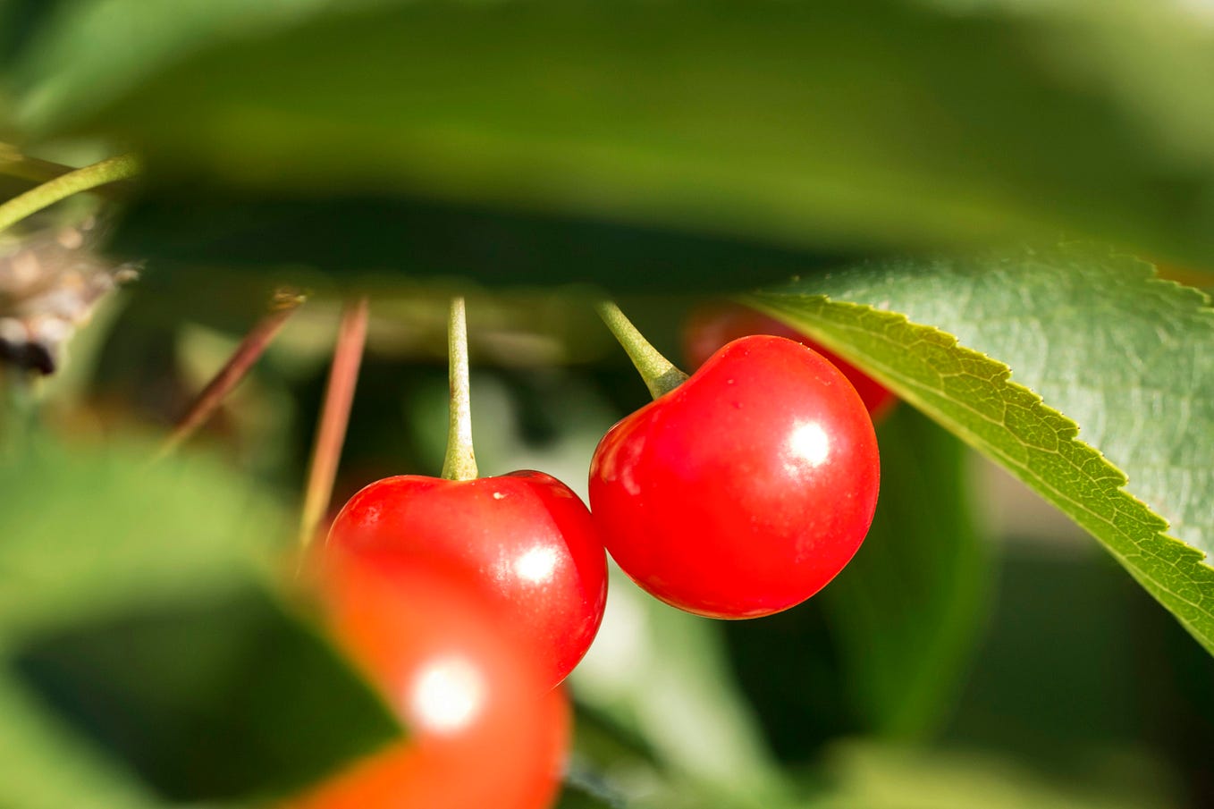 Kotlin’s Flow, ChannelFlow, and CallbackFlow Made Easy | by Elye - A ...