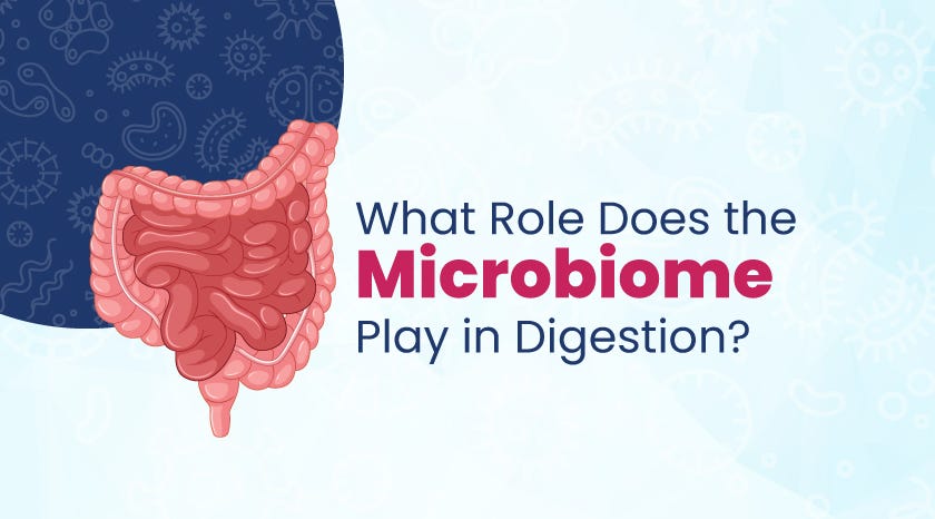 Top 10 Benefits of Probiotics: Why You Should Include Them in Your ...