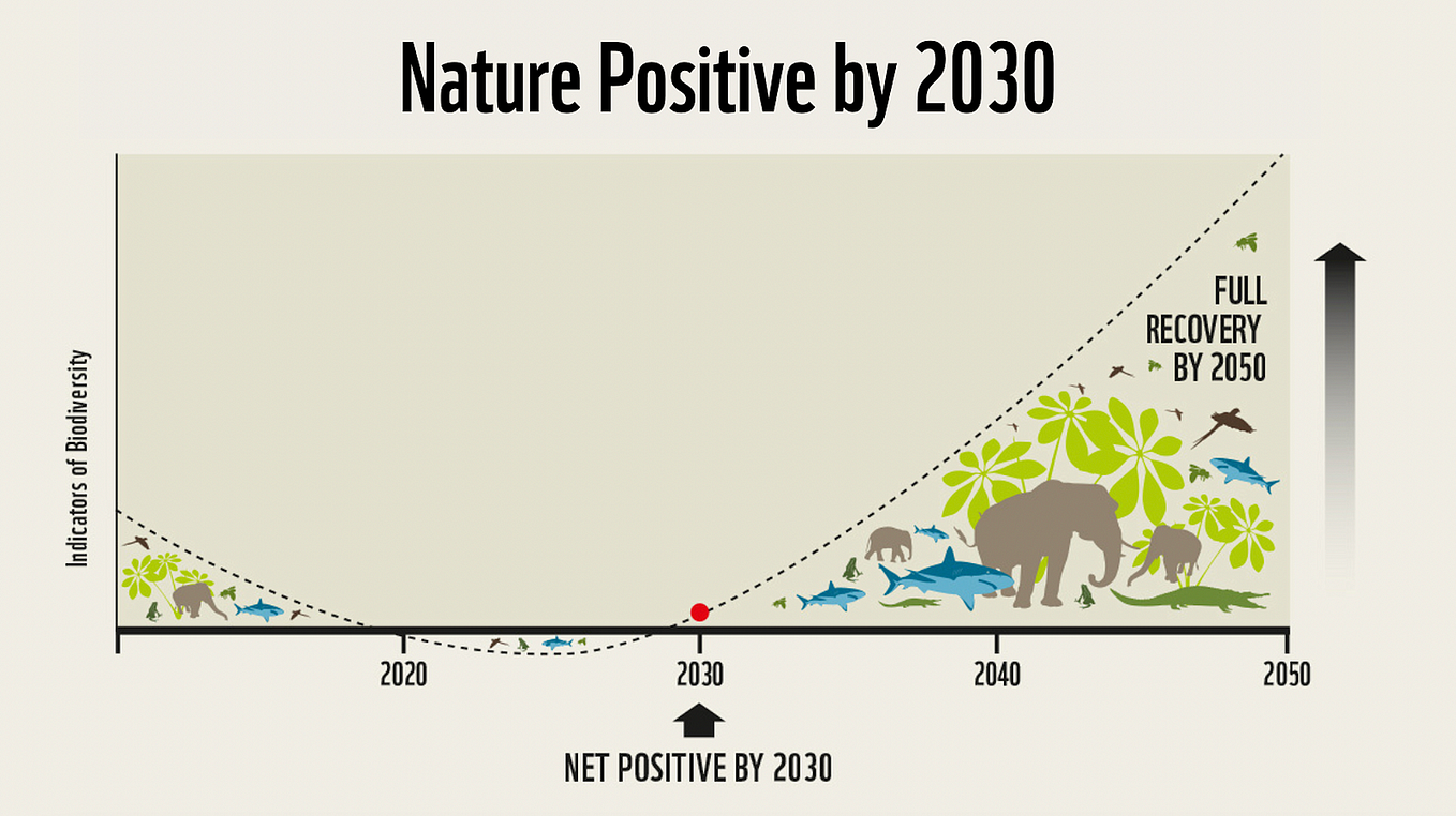 Emerging digital MRV tools shape a new climate information ecosystem ...