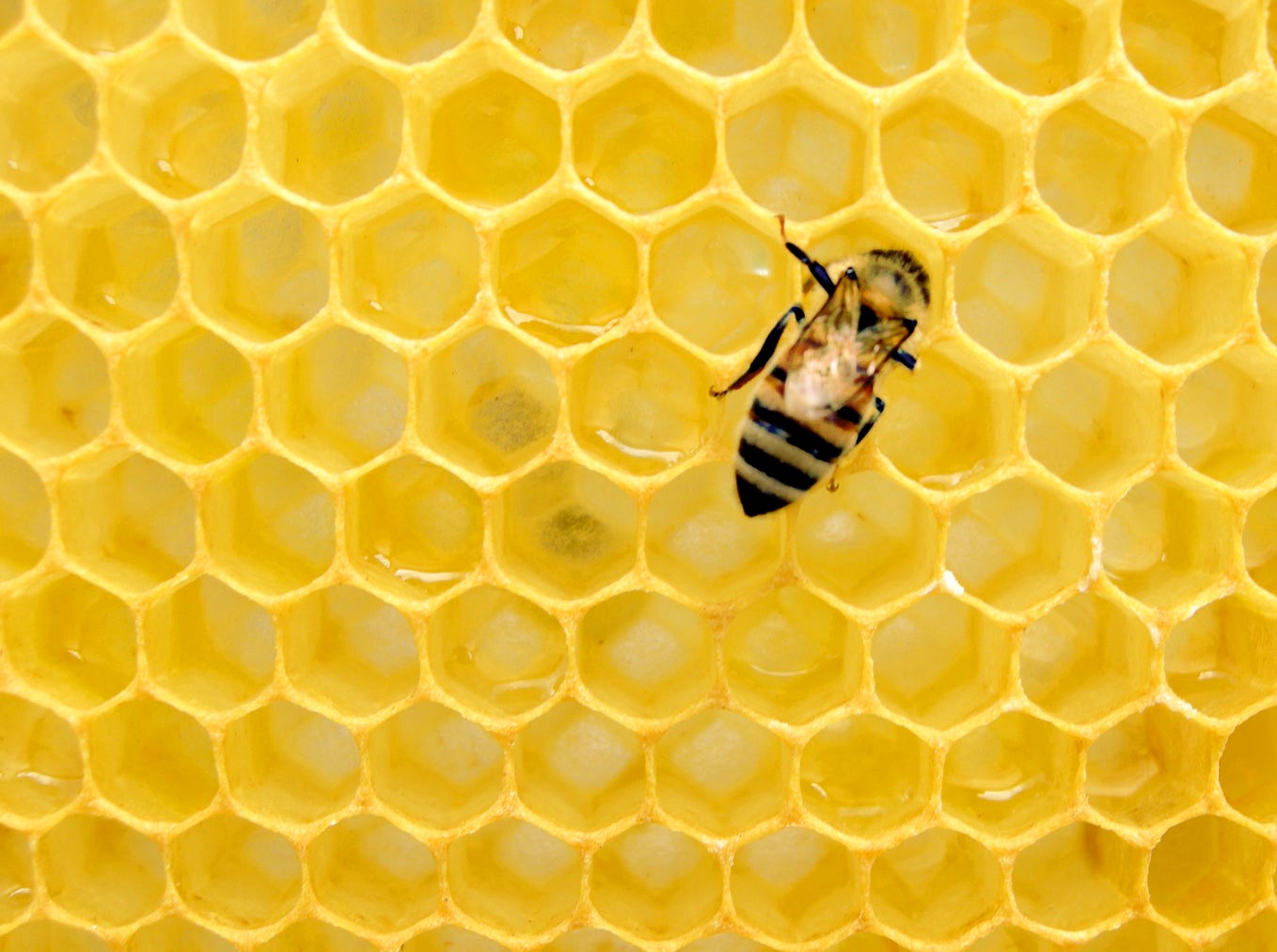 Docker Containers In Swarm Mode Using Consul By Marco Cipri Medium