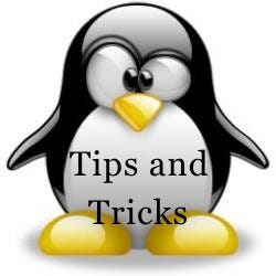 Guide to connect to google colab with ssh from terminal and run jupyter ...