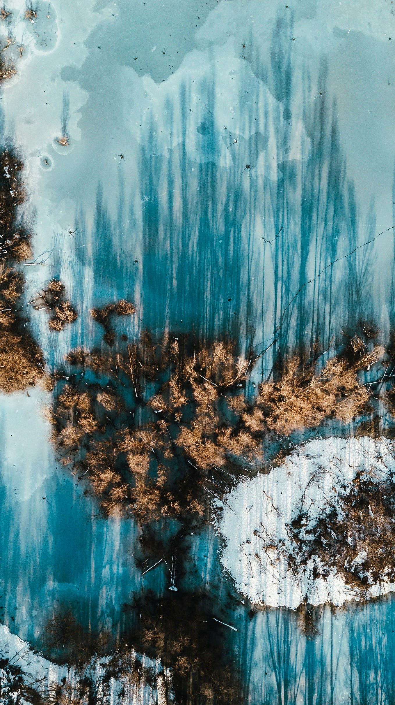 Mimi and Douglas in ‘The Overstory’ | by Julie Borden | The Shortform ...