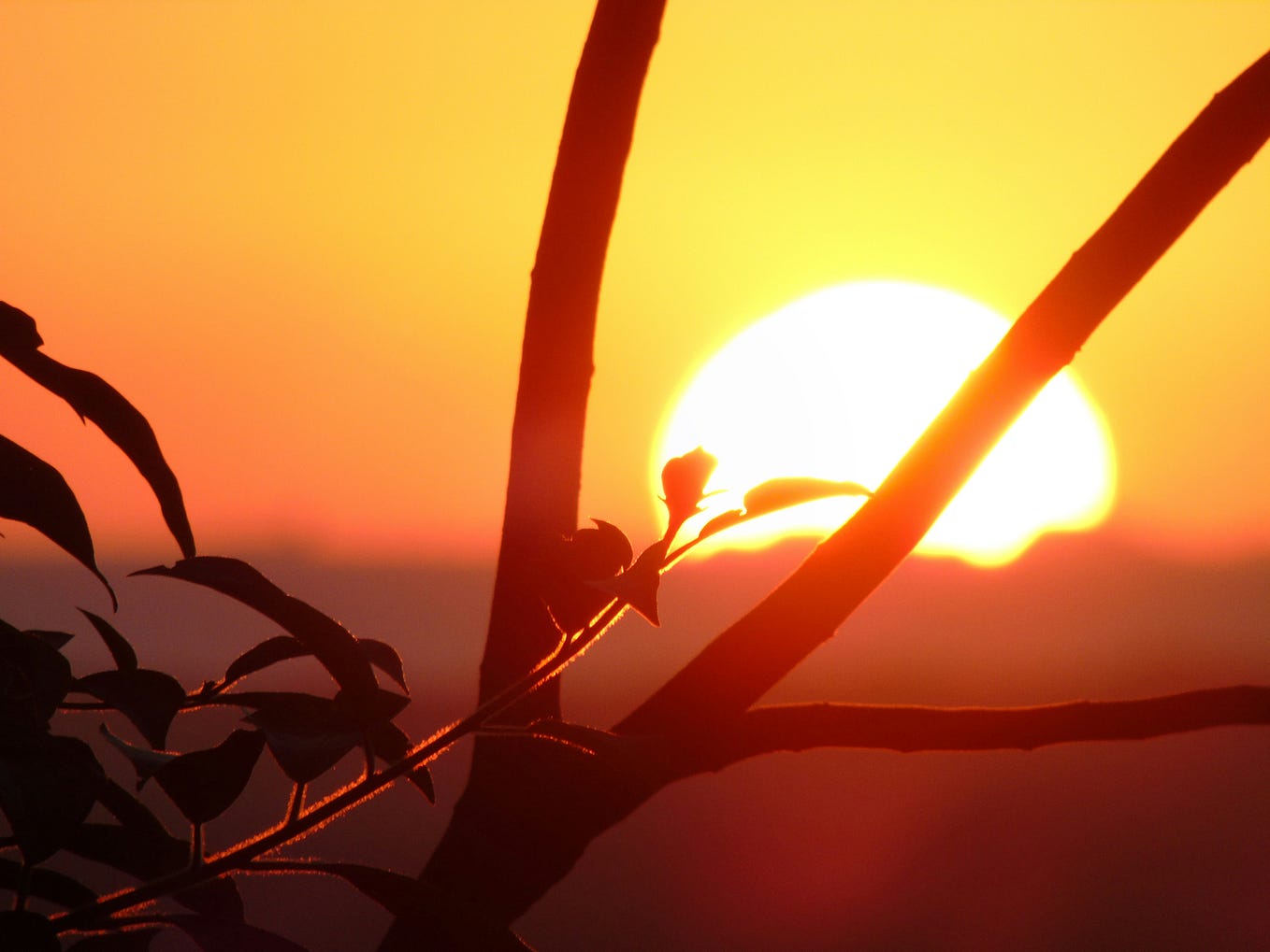 Fear be gone. A Poem | by Suzanne Henderson | Good Writer | Jul, 2024 ...