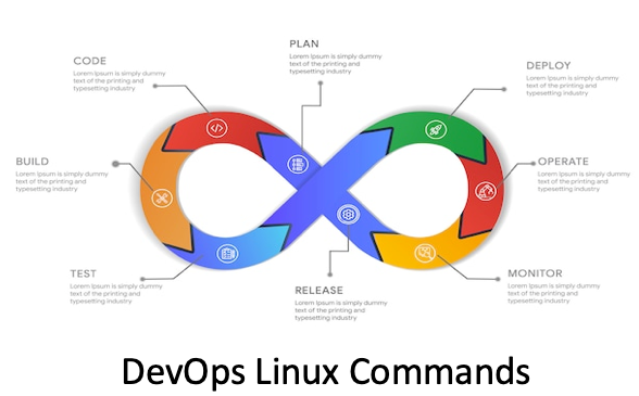 BASIC LINUX COMMANDS. This article has been inspired by… | by Moses Musinde | Medium