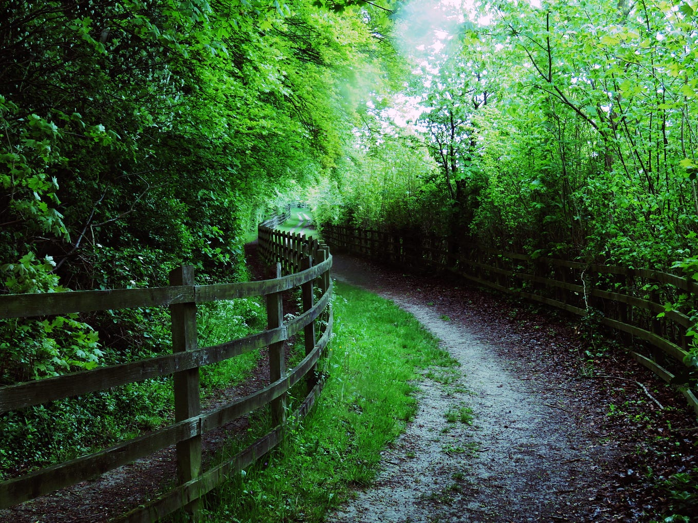 Learning Journeys What Makes Learning Journeys Effective By David