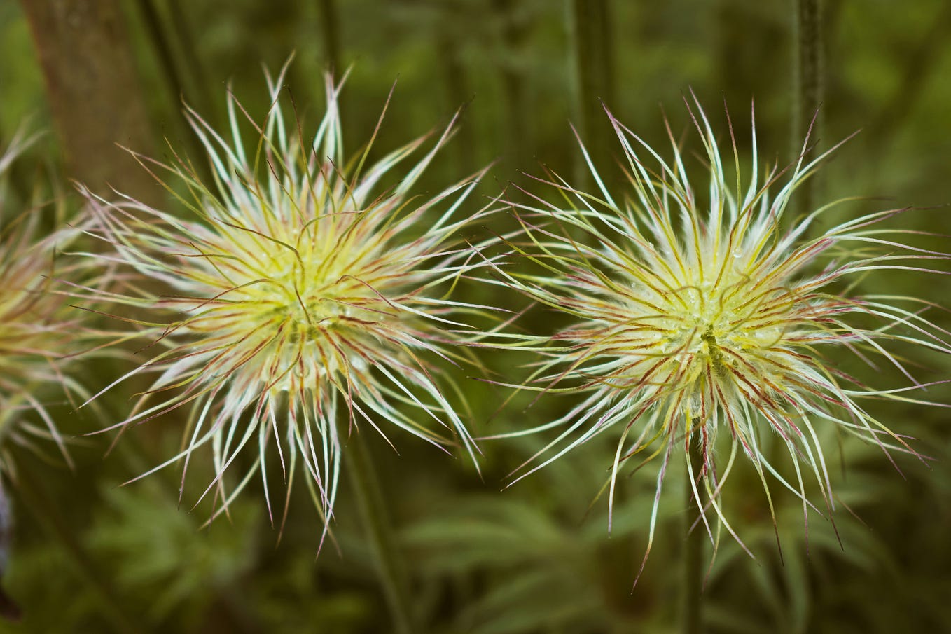 Cinnamon Spice Essence. A poem | by Ann Marie Steele | Write Under the ...