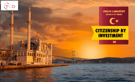 Turkish Nationality Through Ownership | by Tc Turkey | Medium