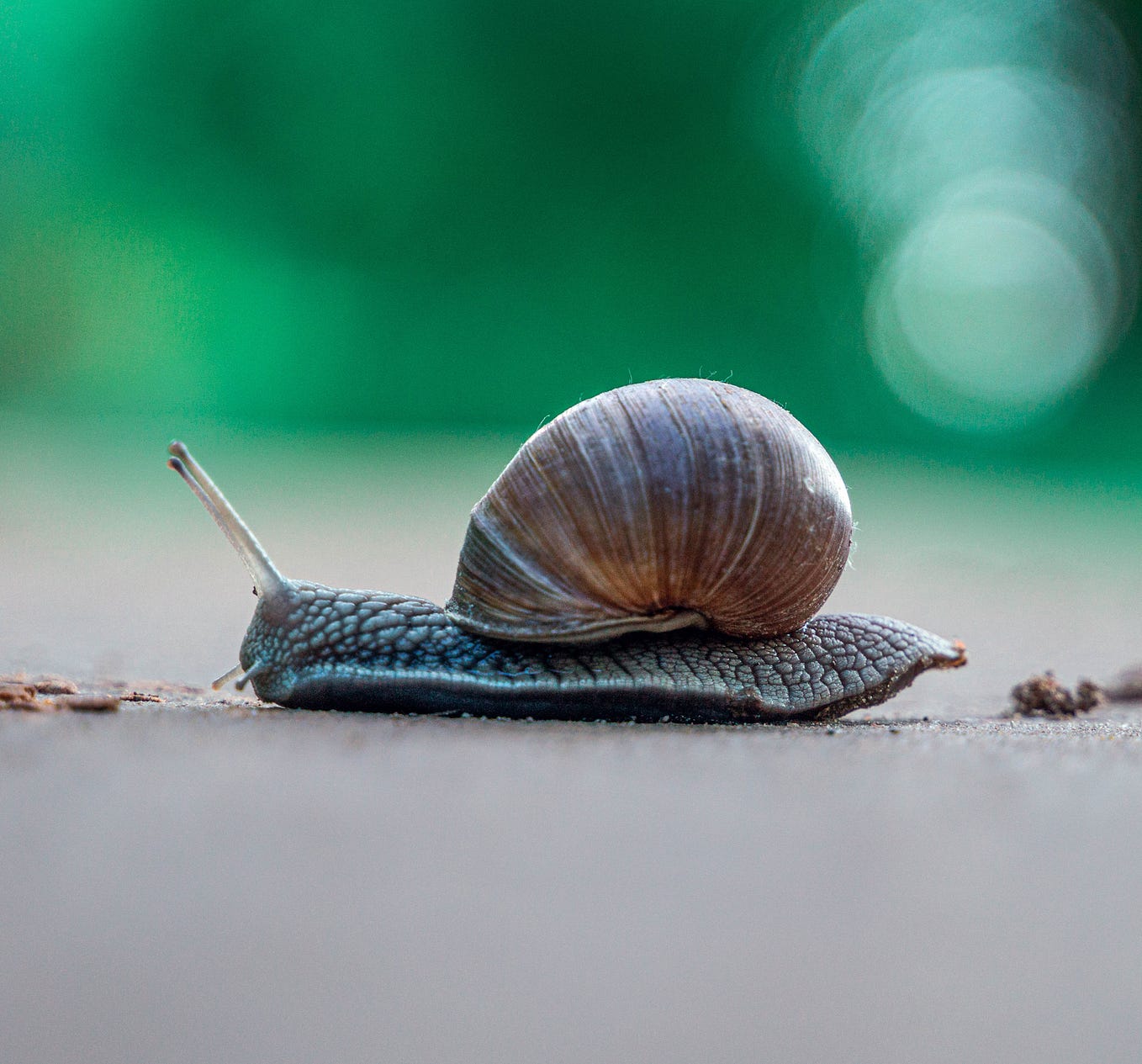 Relentless Coaching Prevents Failure | by Anthony Chaine | The Startup ...