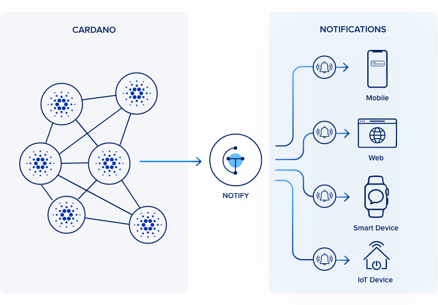 How to start developing on Cardano using Tangocrypto API | by Tangocrypto | Coinmonks | Medium