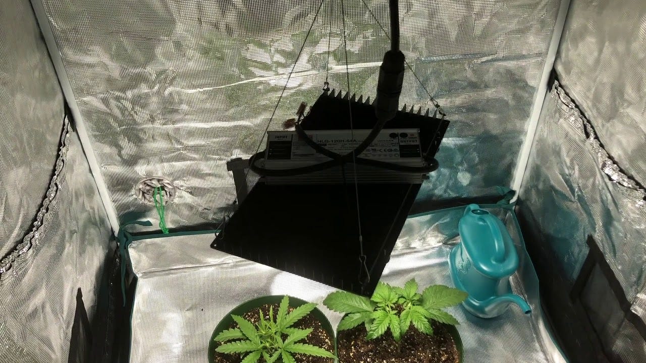 Future of Farming: The Hydroponic Greenhouse Revolution | by nutriflo ...