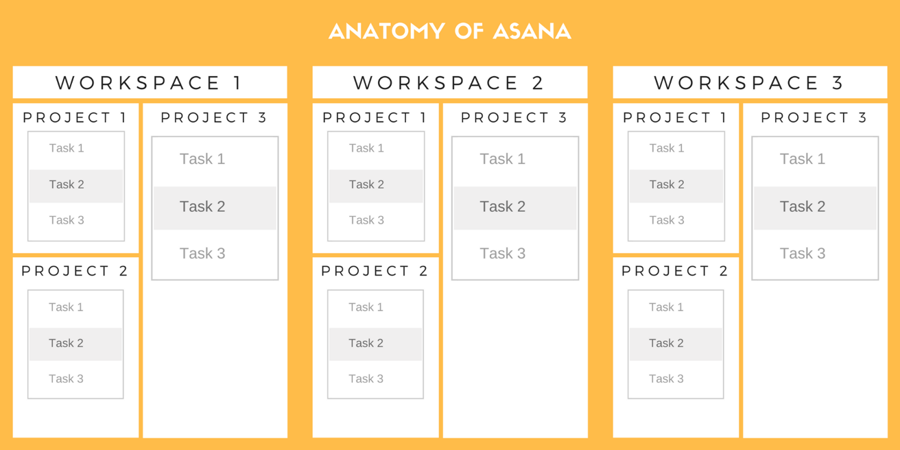 The « tip of the iceberg » Asana methodology | by Bastien Siebman ...