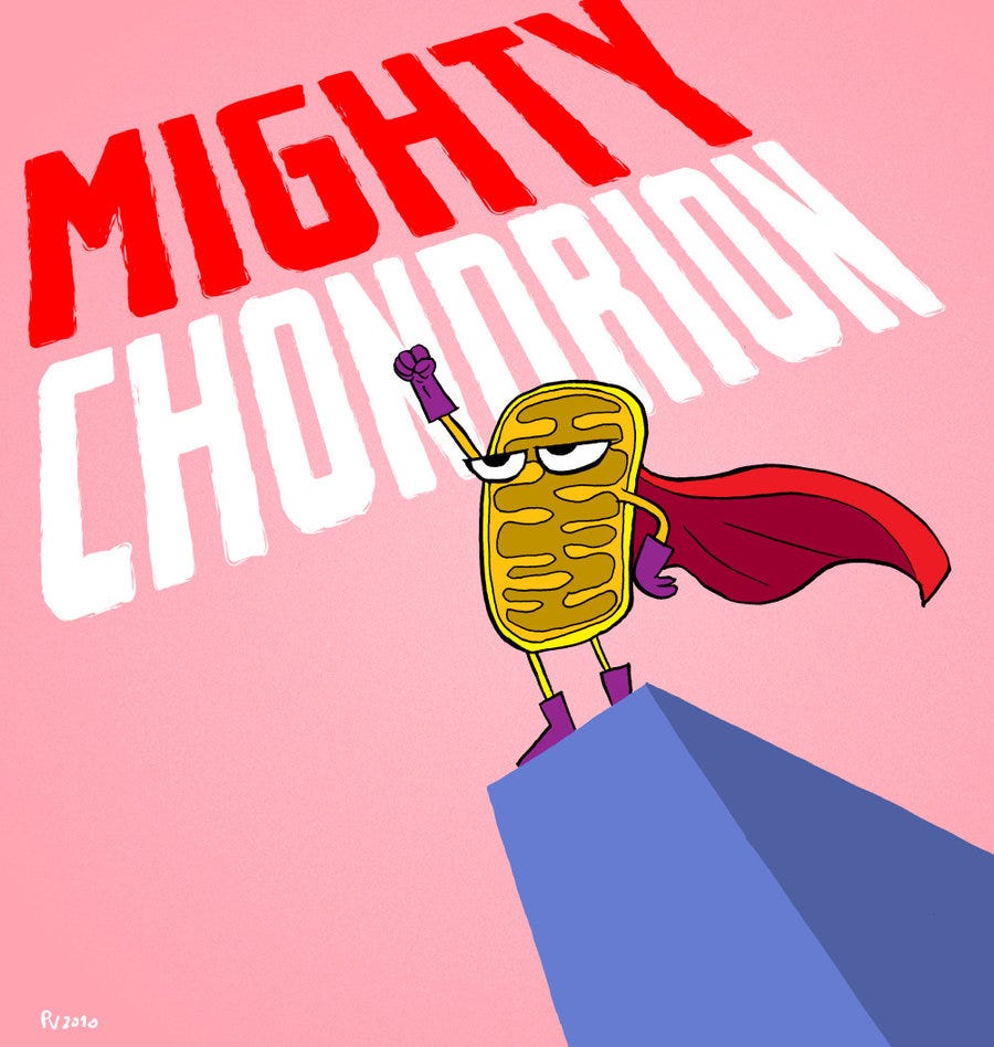 ‘Unique-parental’ inheritance of mitochondria | by Leeba Ann Chacko ...