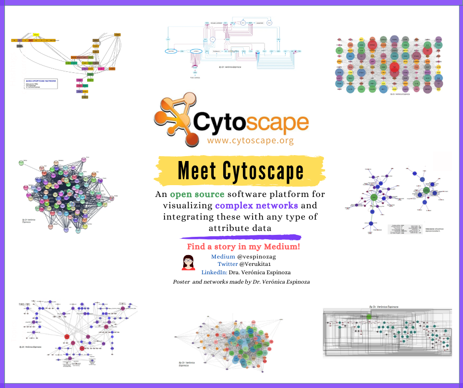 Learn How To Make A Quick Network Visualization In Excel With Gigraph By Dr Veronica Espinoza