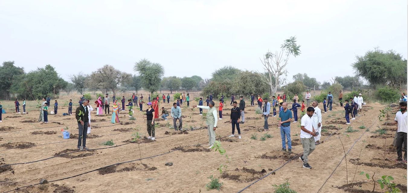 tree plantation - Ishu Bhaghel - Medium