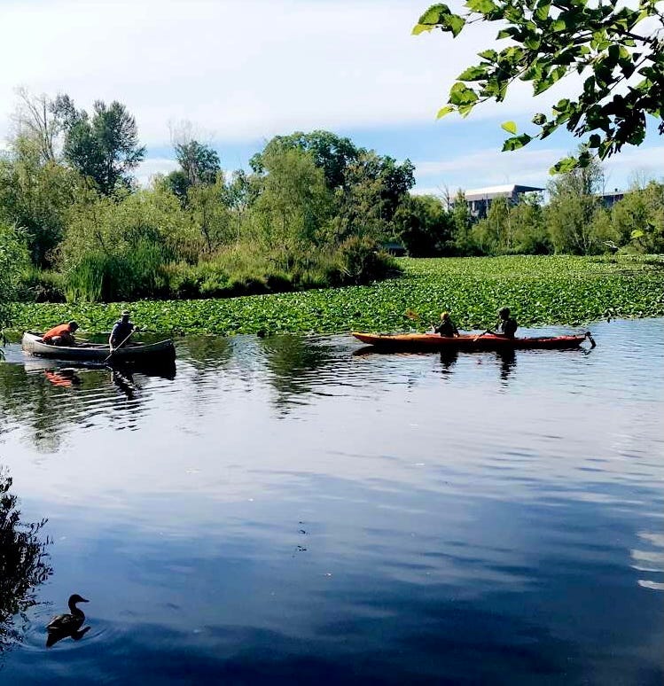 Identify Your Insecurities. With the amount of people we encounter… | by Taniya Prabhakar | Medium