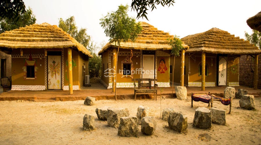 5 Things to know about Bishnoi Village Safari | by bishnoi village | Medium