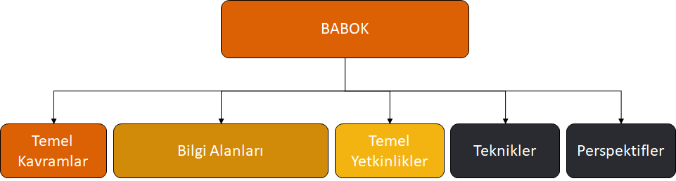 Doküman Analizi. Babok’a göre; iş ortamını veya mevcut… | by Işıl ...