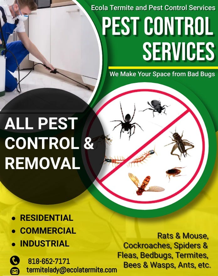 Termite Pest Inspection — What You Need to Know About It - Ecola ...