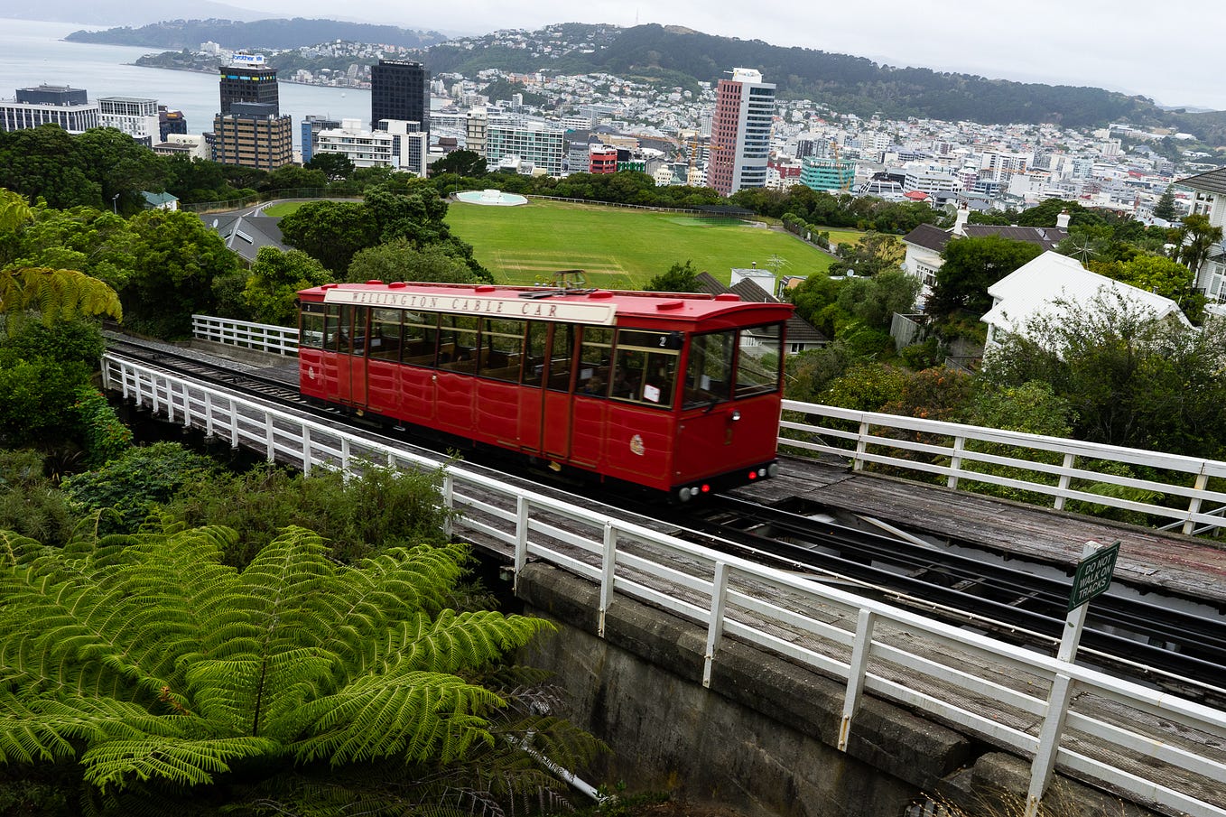 Yet another Swede in New Zealand — Week 1 | by Axel Riese | Medium