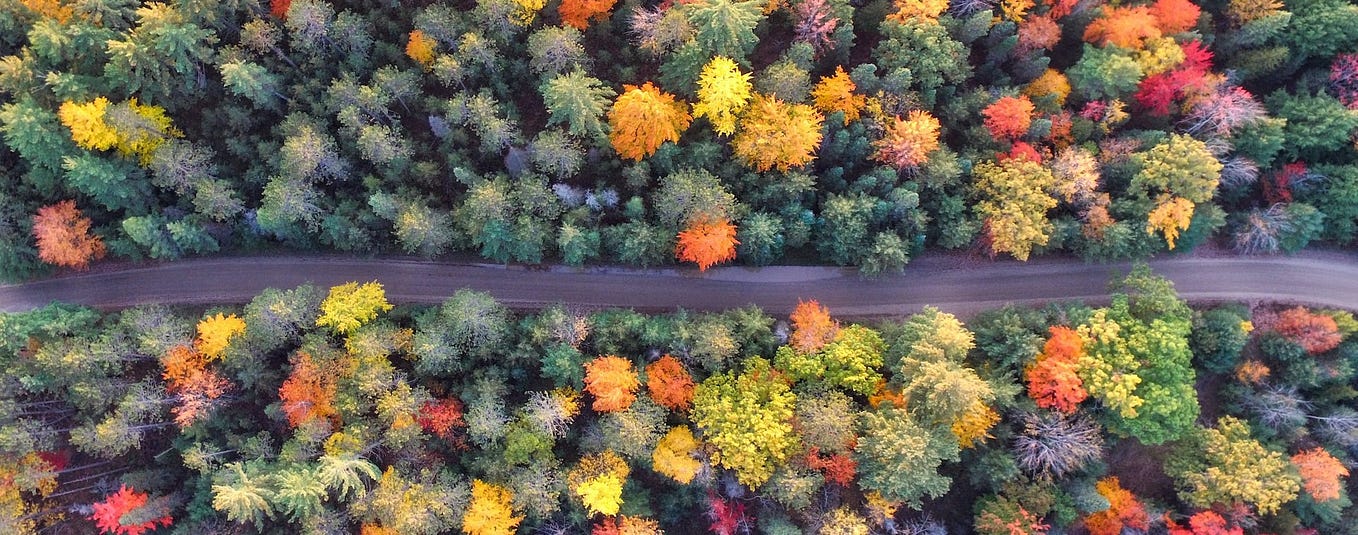 Ditching Setstate For Mobx How To Leverage Observables Observers By Nader Dabit React