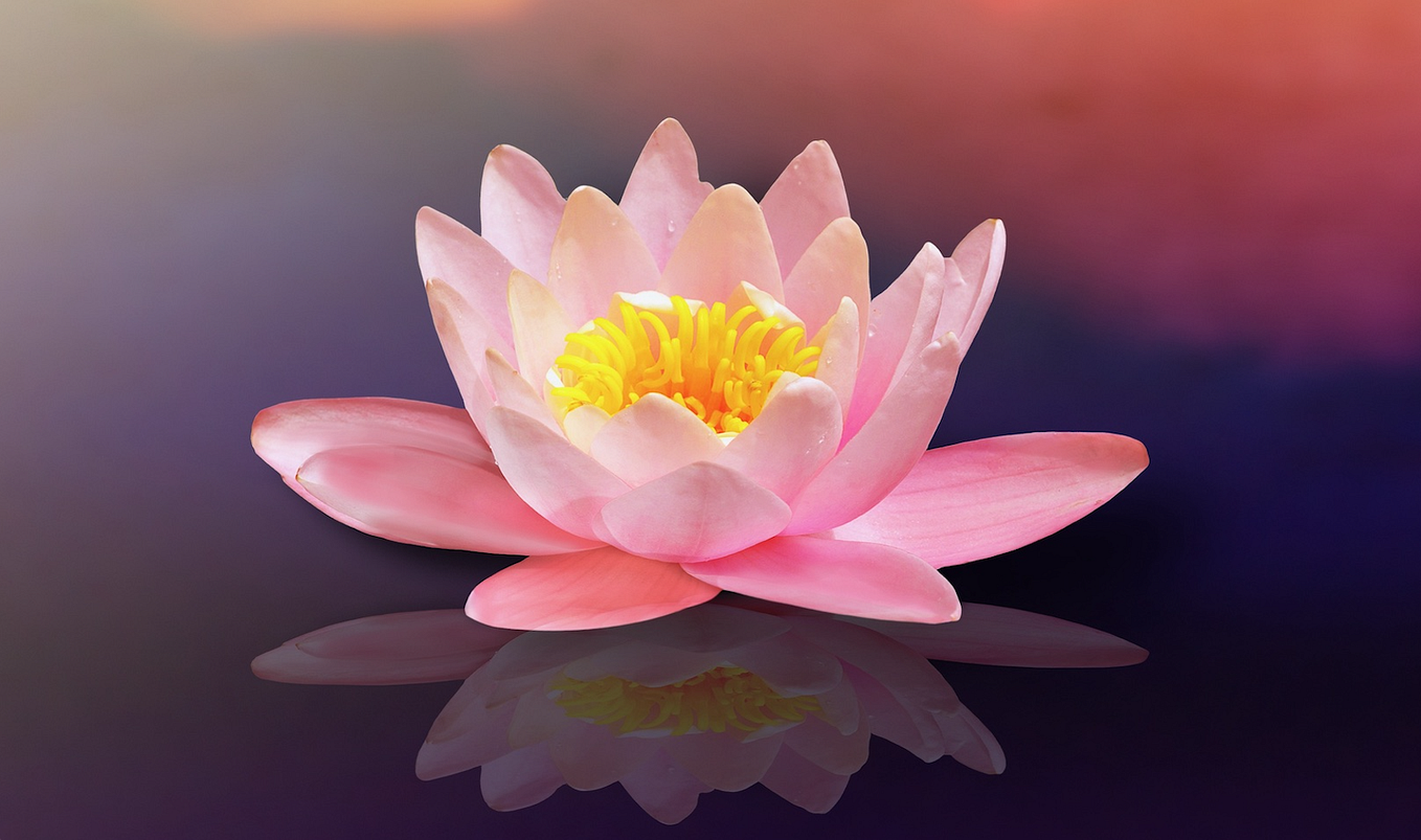 Meditation Benefits: Stress Reduction | Digital Serenity