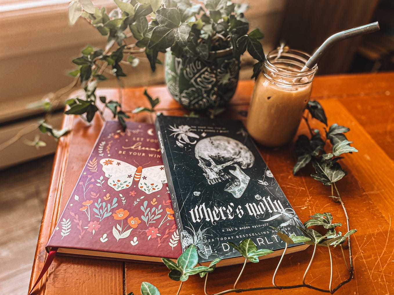 Book Review : Little Stranger by Leigh Rivers | by Stephanie Gillespie | Medium