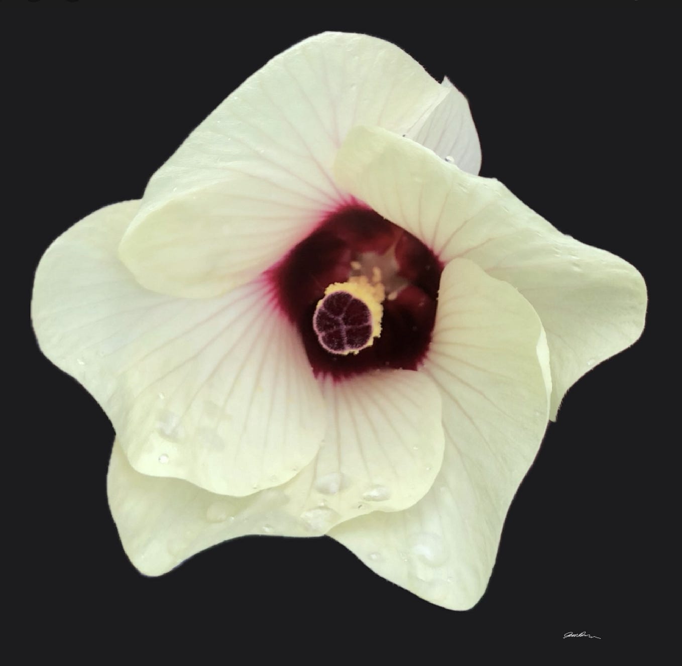 Finding The Longest Common Substring A Simple Guide With Java By Developeratbanks Jul 2025 8802