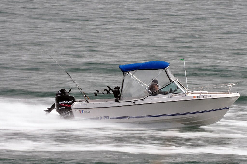 The First Timer’s Guide to Water Skiing | by Canobolas Marine | Medium