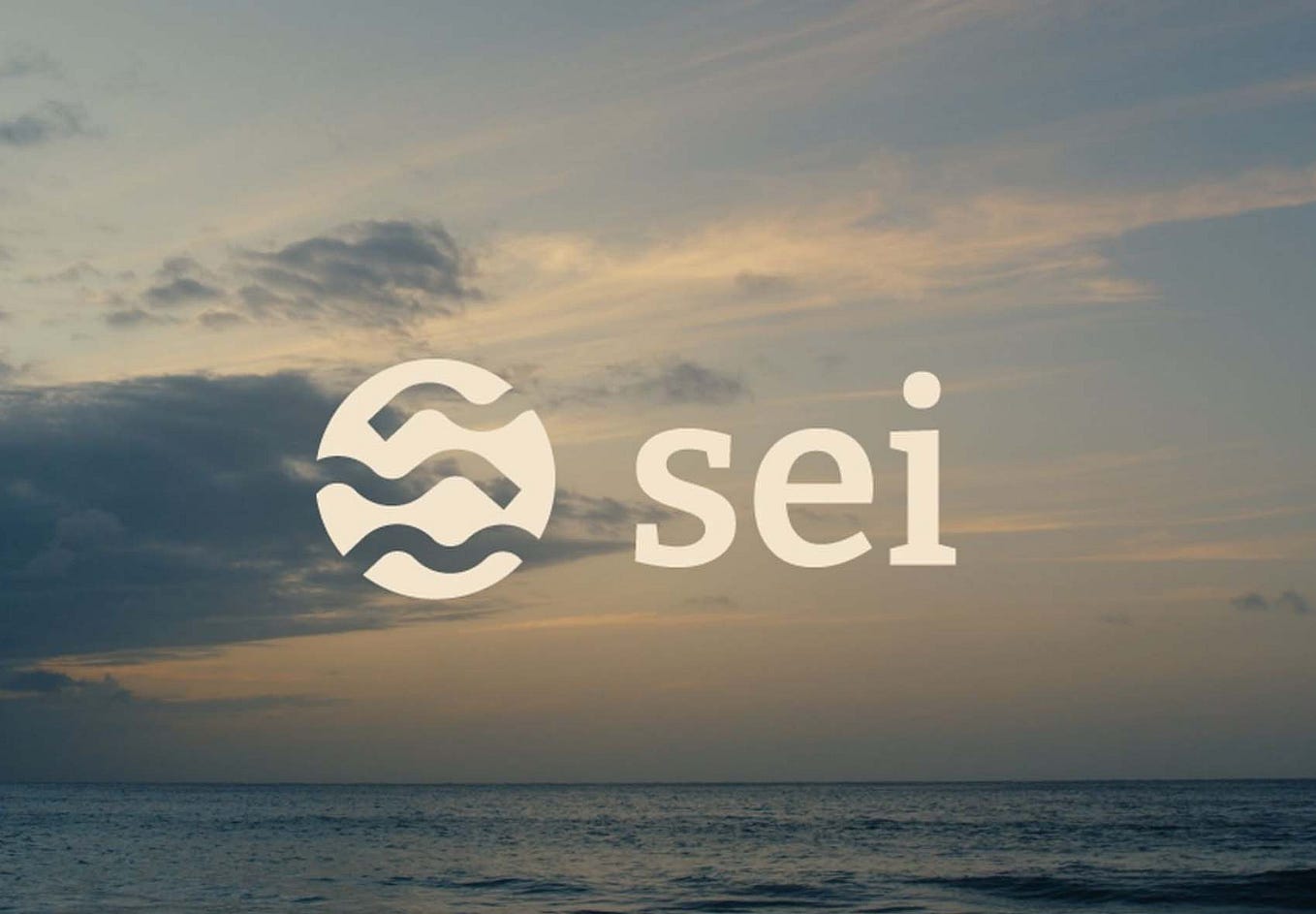 Sei Bridge | Testnet | Guideline. The Sei Network team has given us a ...