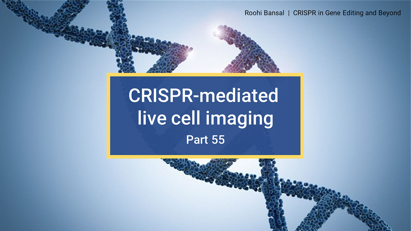 CRISPR-mediated Gene silencing with dCas9 or CRISPRi (Part 52- CRISPR in gene editing and beyond ...