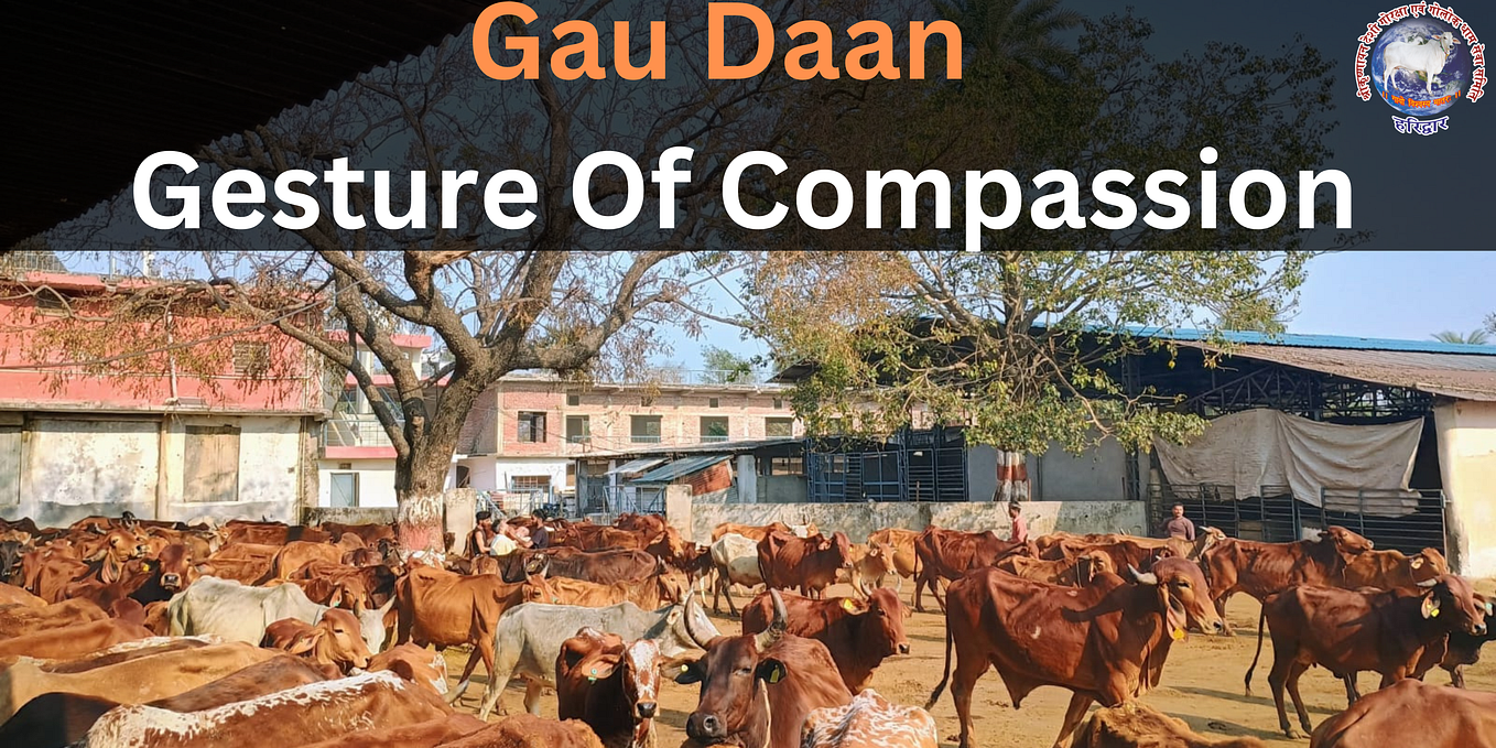 The Profound Benefits of Honoring Cows: Lessons from Lord Krishna | by ...