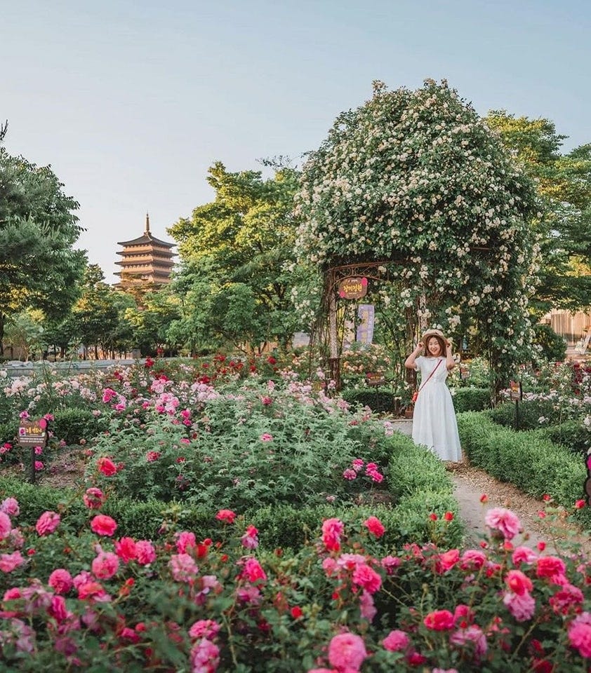 Exploring South Korea: A Budget-Friendly Journey for Indian Travelers ... Exploring South Korea: A Budget-Friendly Journey for Indian Travelers ...