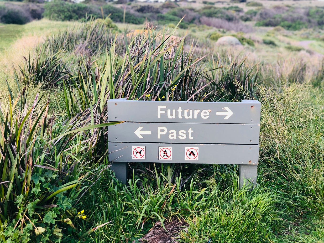 7 Life Lessons Have Shaped Me Into the Person I Am Today | by Indra Raj ...