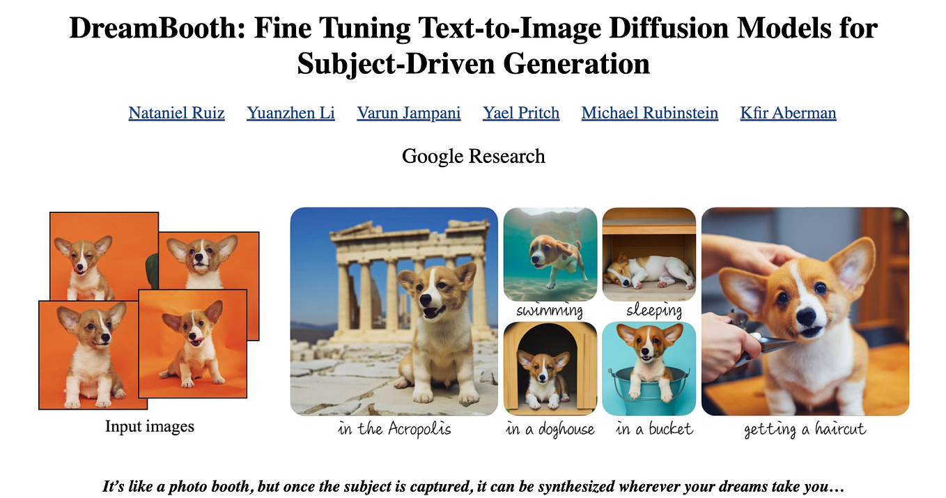 Cat and Dog Image Classification with Oxen-AI | by Md Nurul Huda | Oxen ...