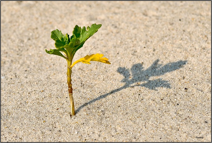 Leading Across the Chasm: Digging into Problems | by Dave Smith | Fuel ...