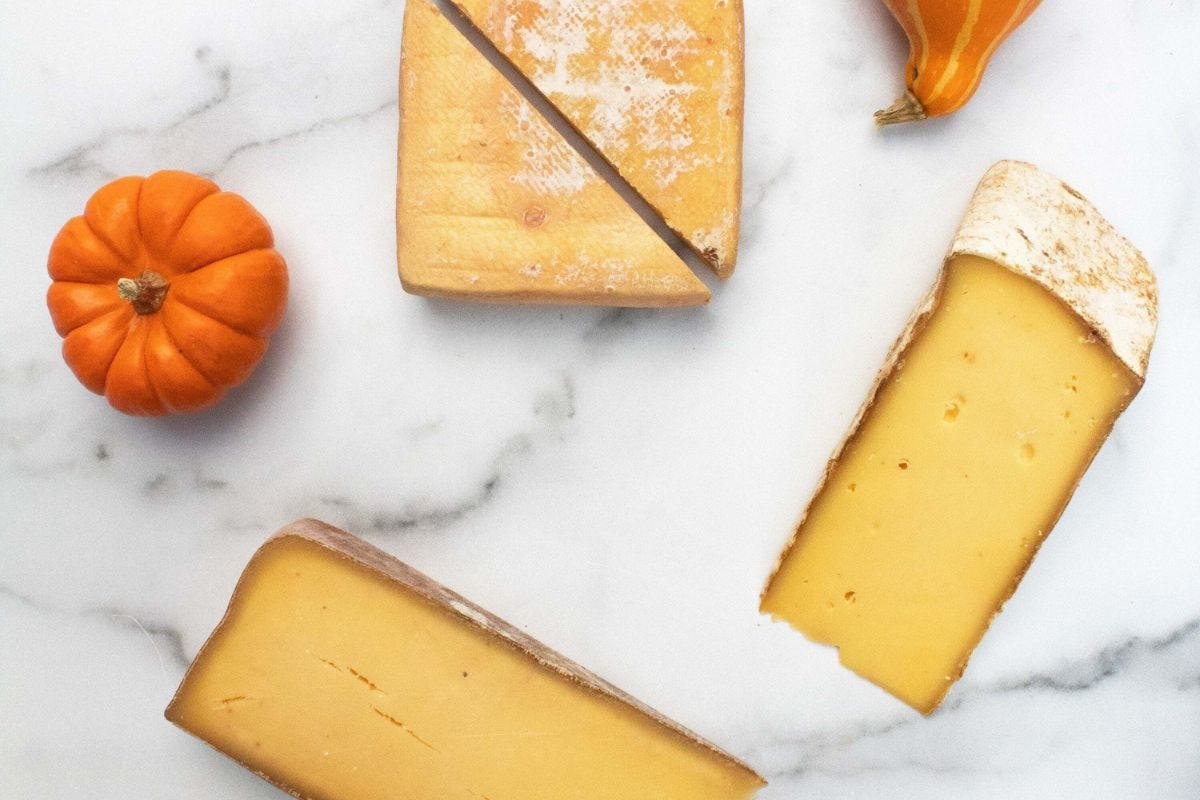The Renaissance of Artisan Italian-Style Cheeses in America | by ...