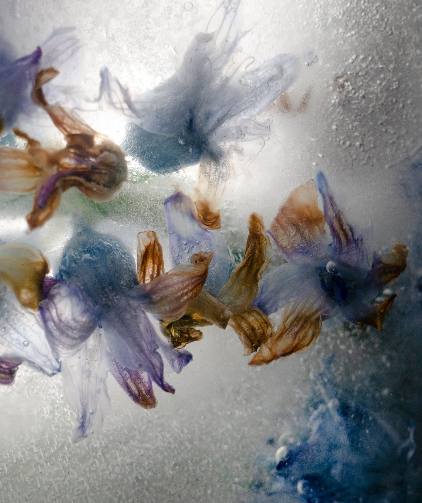 The Nightingale: Part II. A Fairy Tale Retelling | by Lark Morrigan | Morrigans Wake | Oct, 2024 ...