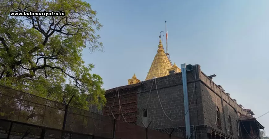 Travel Trends For 2024 - Sri Balamuri Flight Package Tours | Medium