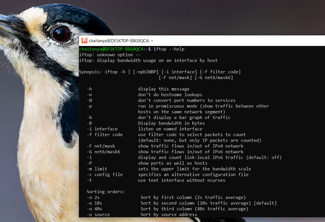 Understanding Socket Connections with netstat and ss | by Chaitanya Varma Manthena | itversity ...
