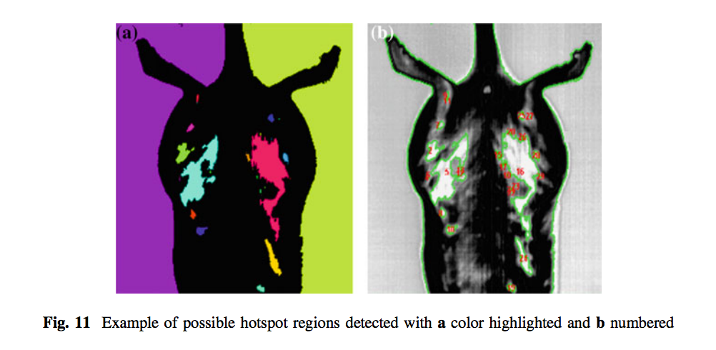 Google DeepMind -Improving the interpretability of “Black Box” in ...