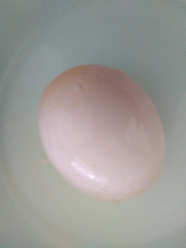 Egg Shells in Sulfuric Acid | Chemistry Experiment | Medium