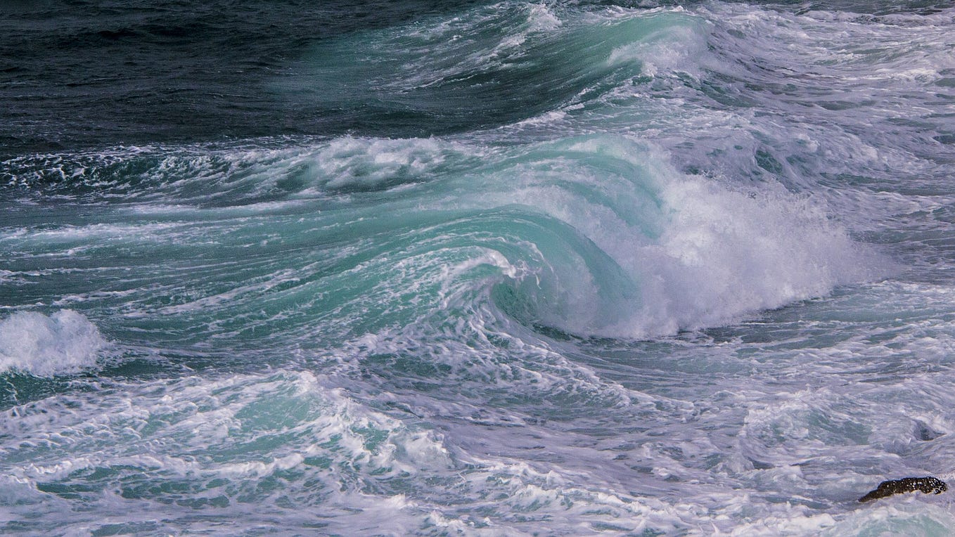 So poignant, your poem, Harper. | by Sylph Hemery | Medium