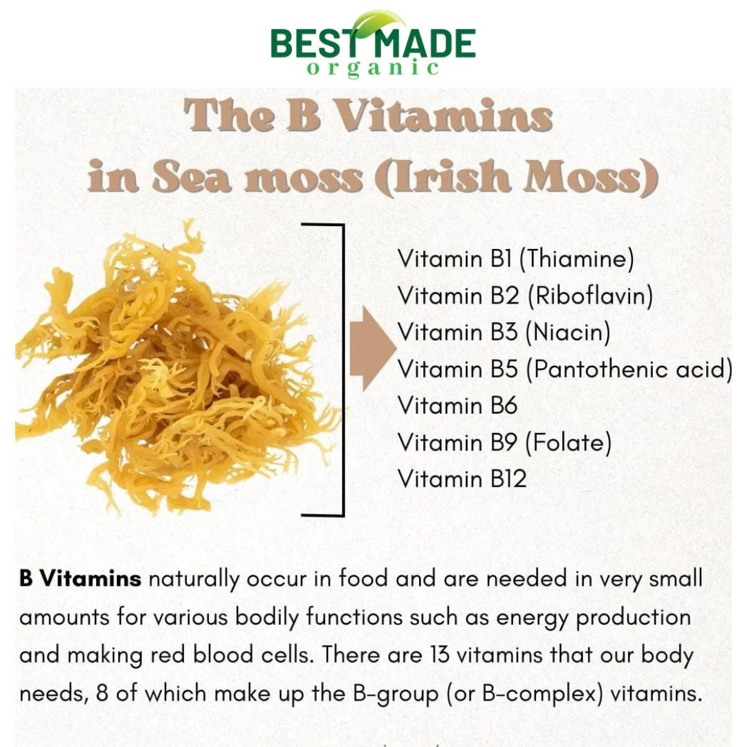 Unlocking The Sea Moss Benefits For Men A Natural Wellness Revolution Deshon Medium