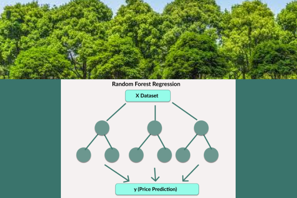 Regression Tree | Towards Data Science